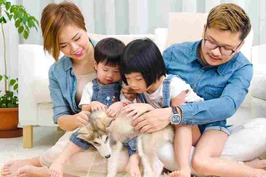 Arizona Pet Rehoming Services - Pet Rehoming Network