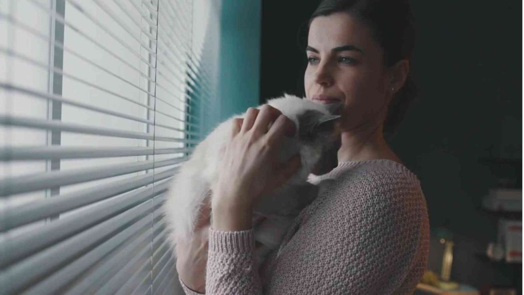 Columbus Cat Rehoming Services Video - Pet Rehoming Network