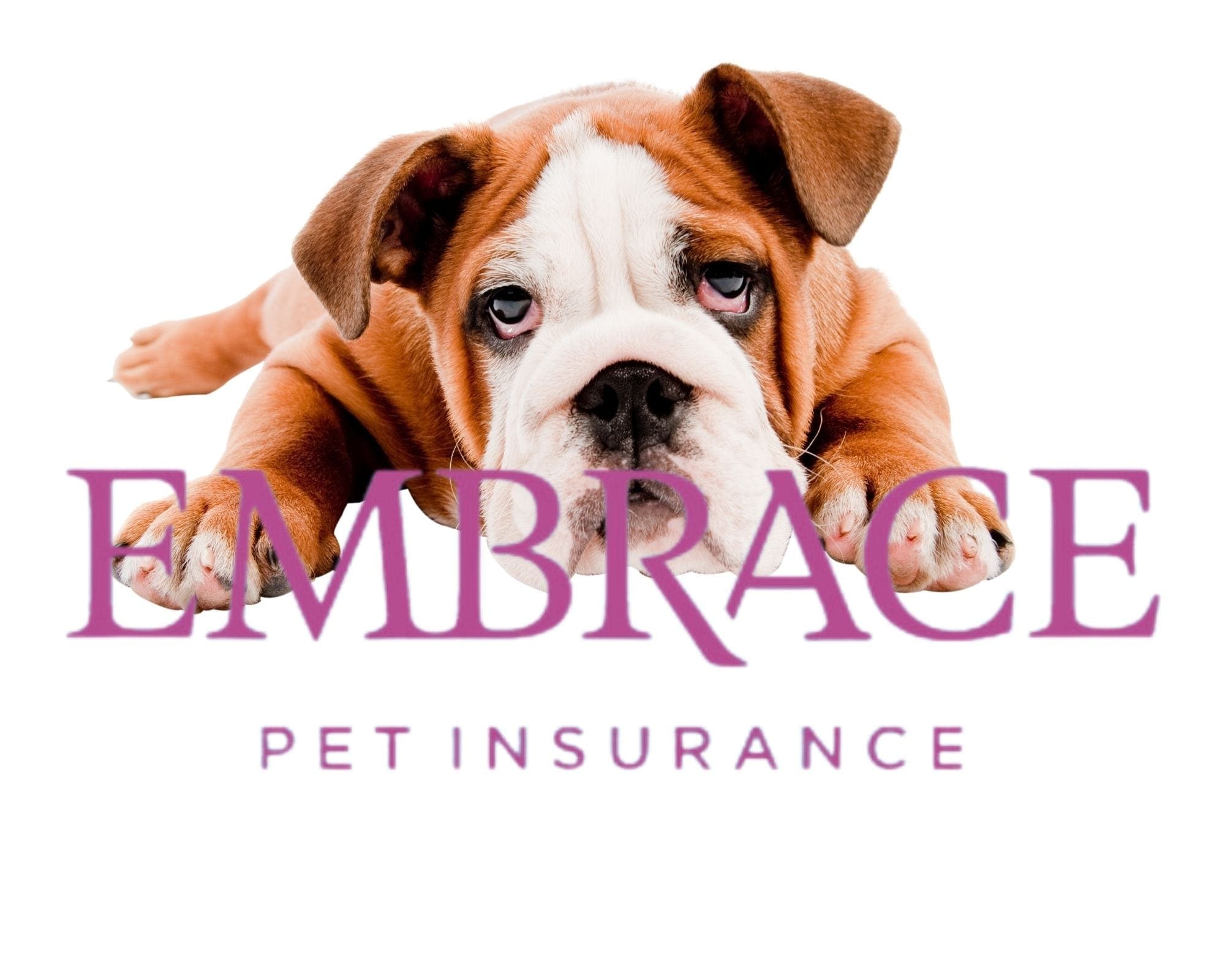 Embrace Pet Insurance - Pet Rehoming Network