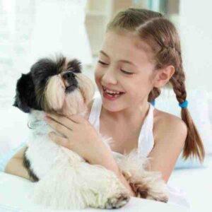 Kid-friendly-small-dog - Pet Rehoming Services